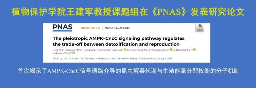 Professor Wang Jianjun’s Research Group from YZU College of Plant Protection Publishes a Paper ...